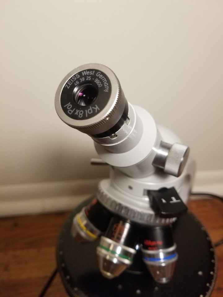 Zeiss Montagestaz Monocular Polarizing Microscope 2.5/10/16/40x Pol ...