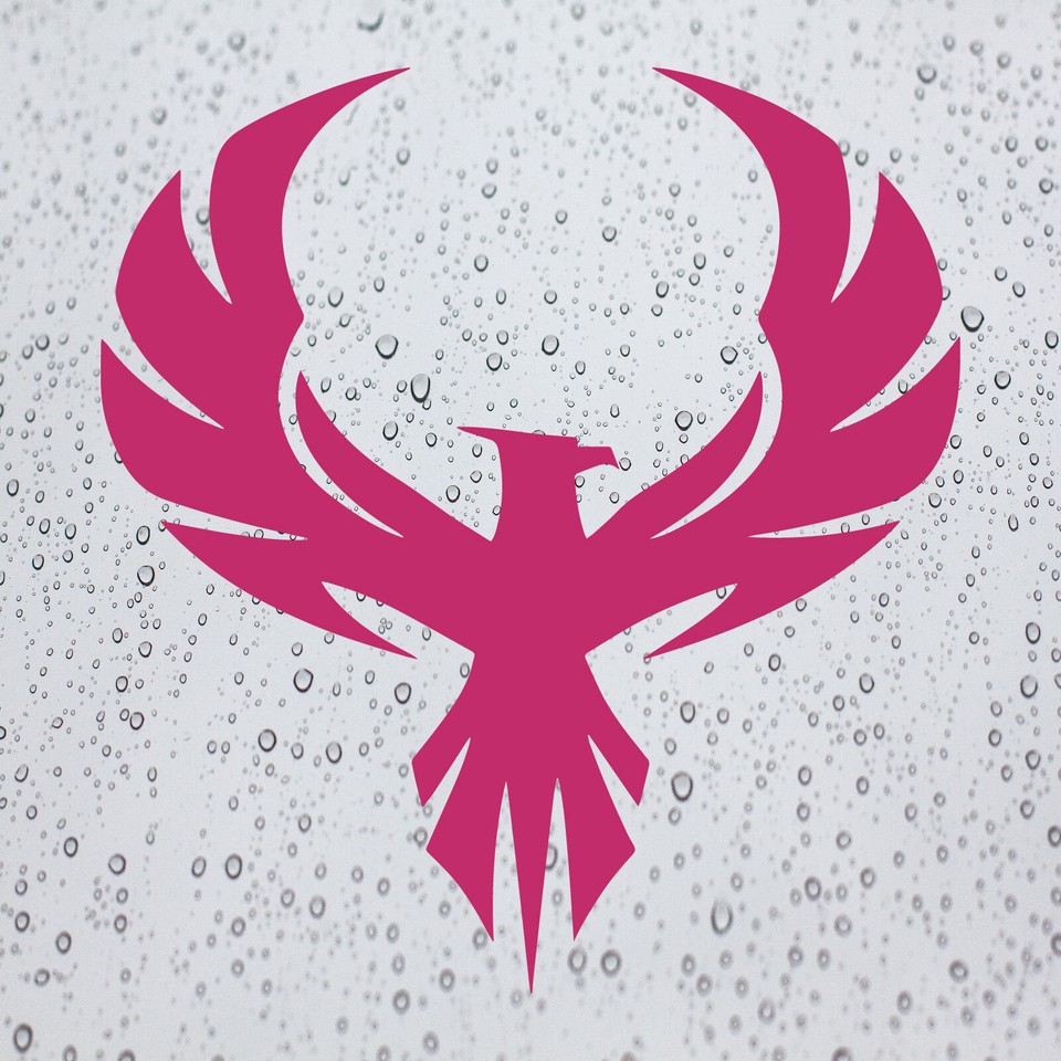 PHOENIX BIRD RISING Decal Vinyl Sticker for Car Bumper Window Door ...