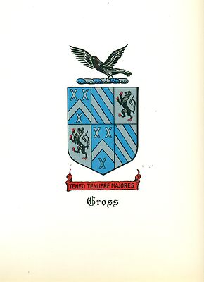 *Great Coat of Arms Gross Family Crest genealogy, would look great ...