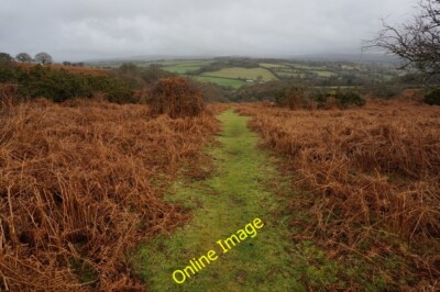 Photo 6x4 Footpath down to Bedford Bridge Horrabridge From Roborough ...