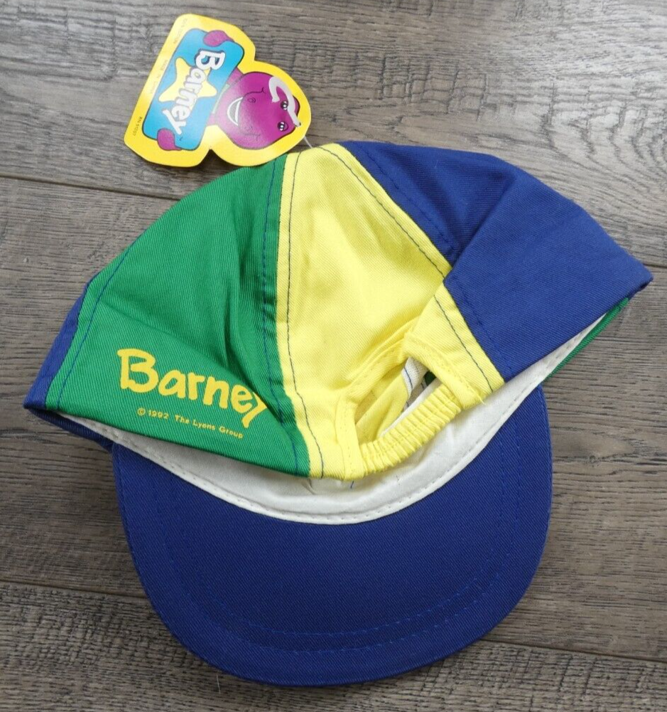 Barney Baby Hat