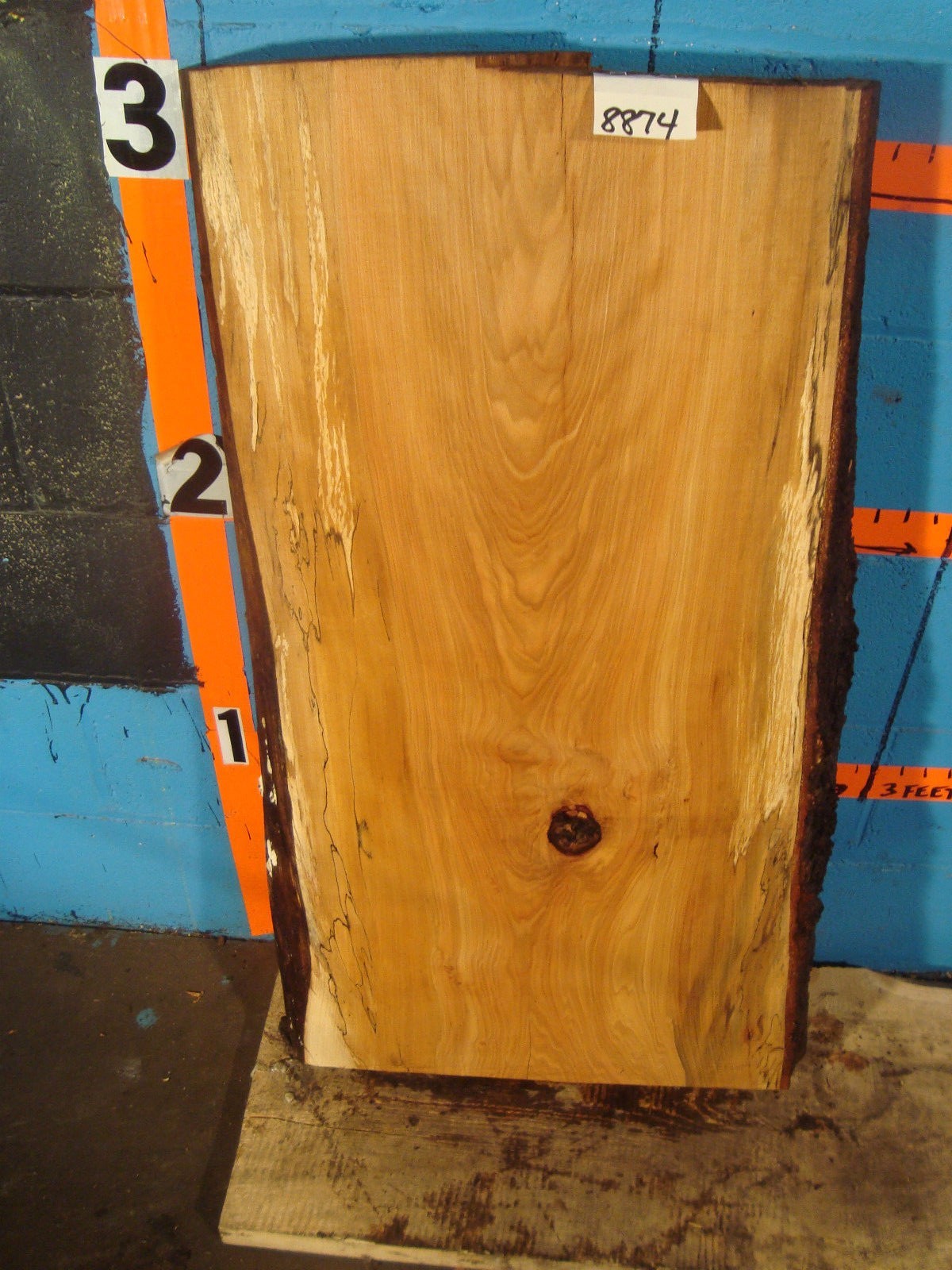 #8874 2 7/16" THICK spalted beech live edge slab | eBay