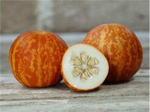 Tigger Melon Seeds, Beautiful and Aromatic, Organic, NON-GMO, FREE ...