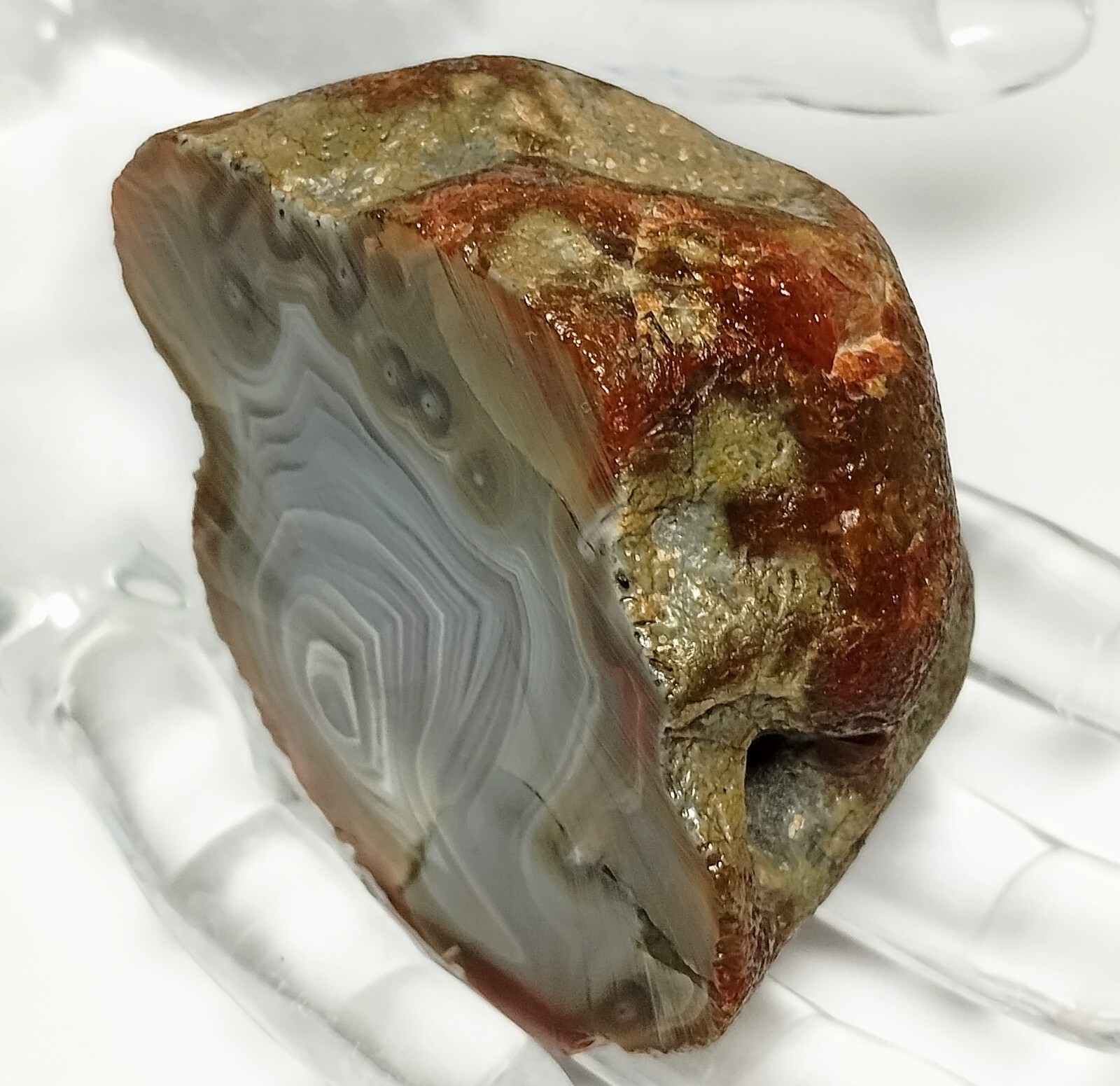 LAKE SUPERIOR (EYE AGATE ) 10.2oz MUSEUM QUALITY ALIEN HEAD LSA ...