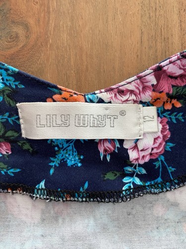 Lily Whyt Dark Blue Rose Floral Stretch Coquette Twee Cottagecore Dress ...