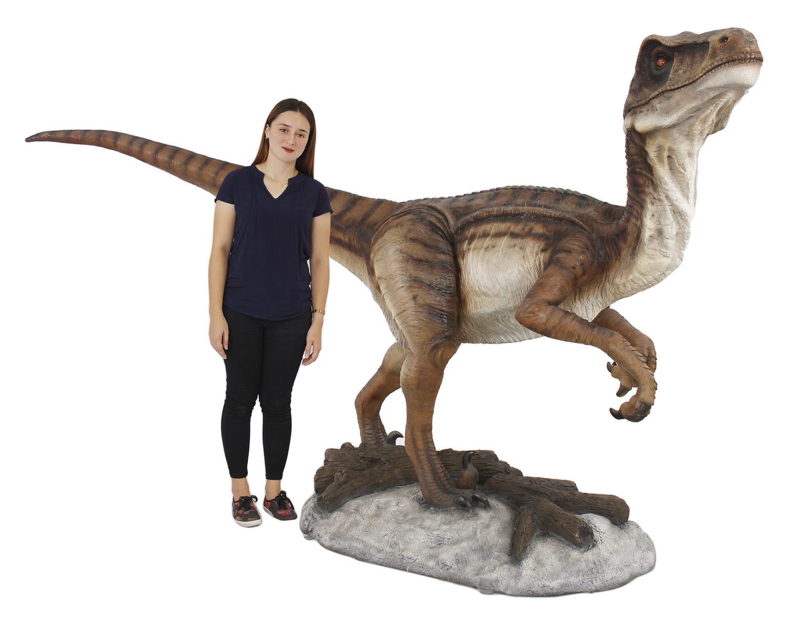 Large Velociraptor Statue - Life Size Velociraptor Statue - Dinosaur ...