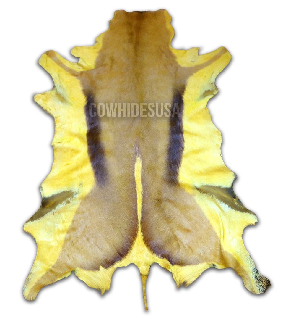 Dyed Springbok Skin Large Top quality antelope skin in assorted dyed ...
