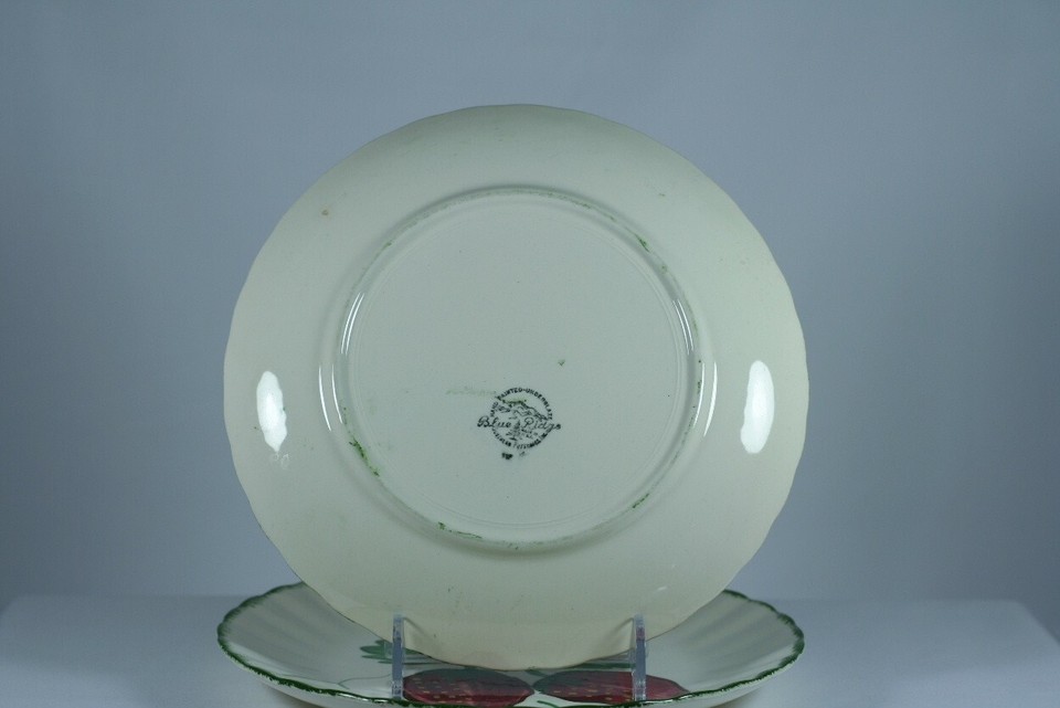 VINTAGE BLUE RIDGE POTTERY WILD STRAWBERRY 9 1/4" LUNCH PLATES-USA-SET ...