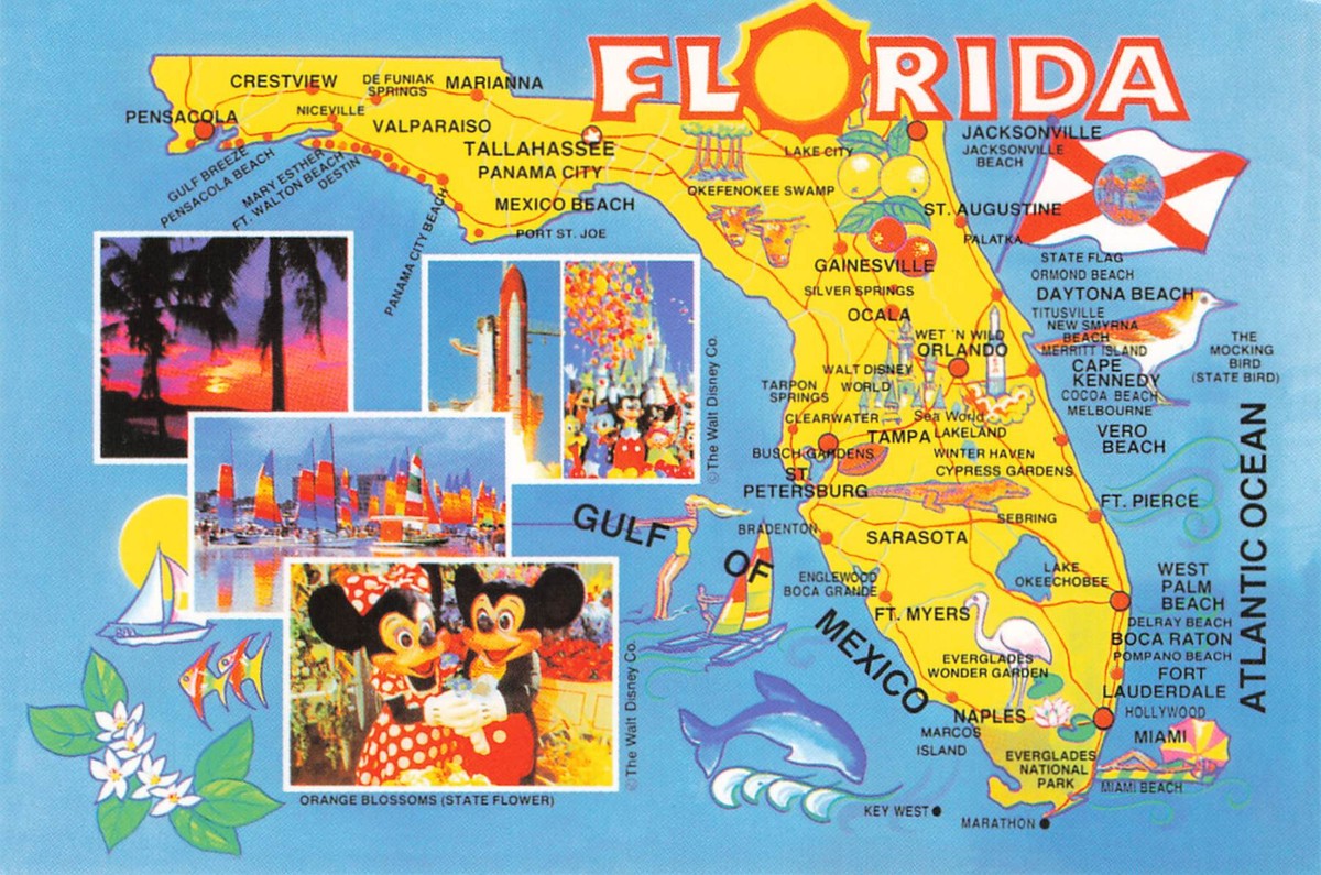 Naples Florida Attractions Map Naples Florida Things To Do