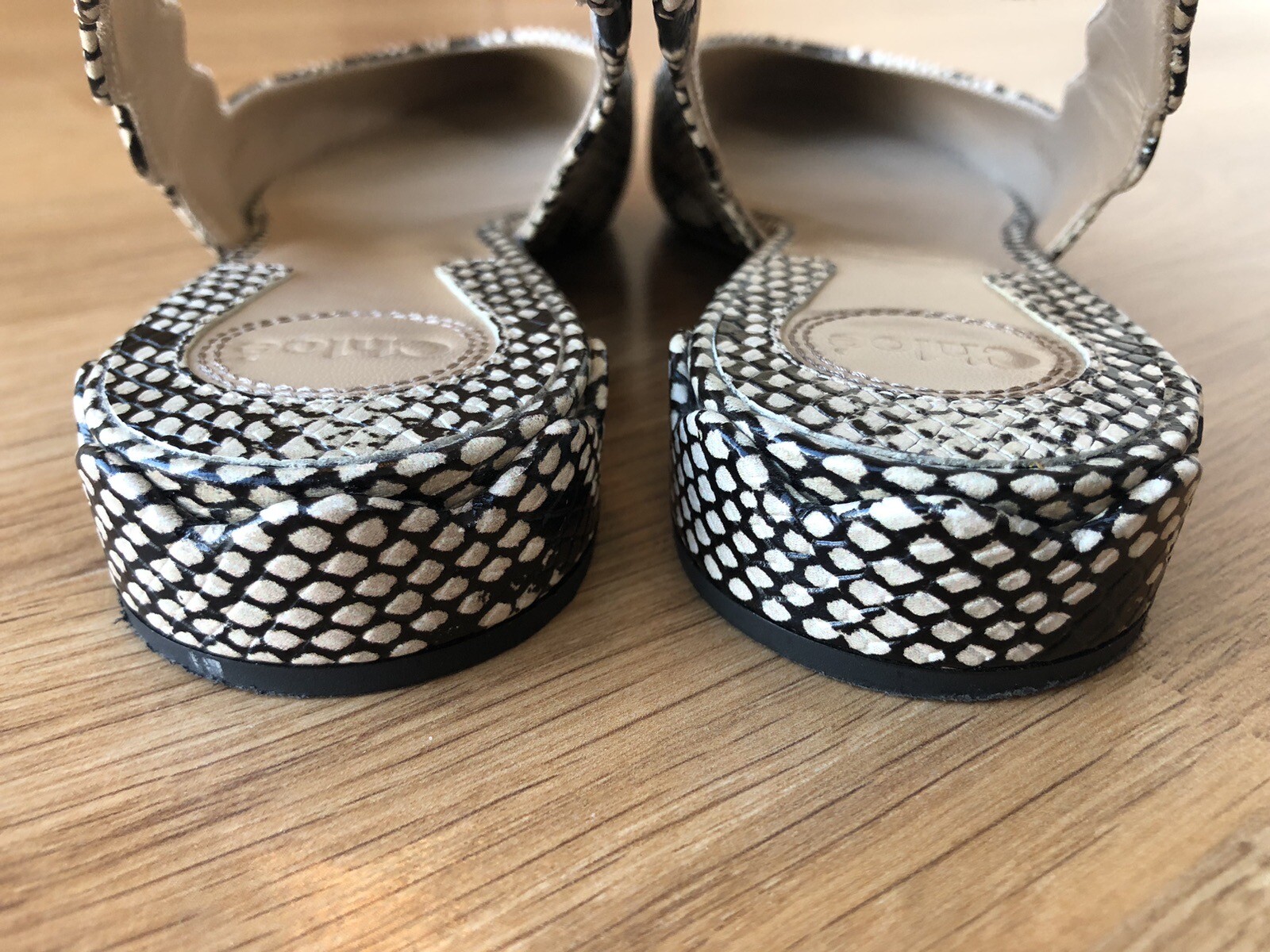 Chloe Pointed Toe Slingback Snake Skin Shoes Size 38 … - Gem