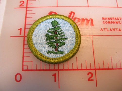 Scout stuff backed FORESTRY merit badge emblem patch (yZ) | eBay