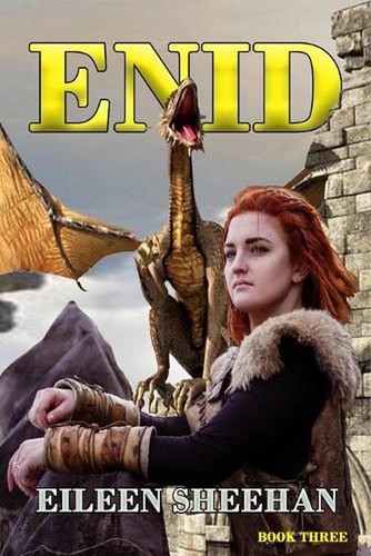 ENID (Book 3) by Eileen Sheehan Paperback Book 9798311527002| eBay