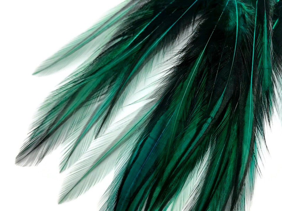 10 Pieces - Peacock Green Dyed BLW Laced Long Rooster Cape Whiting ...