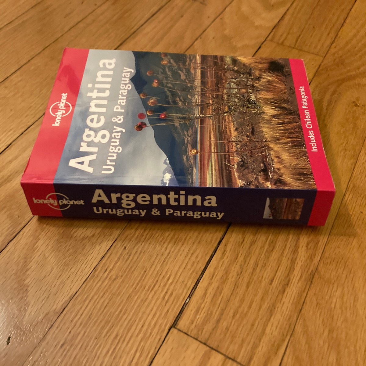 Lonely Planet Paraguay Paraguay, An “empty Drawer” For Tourists?