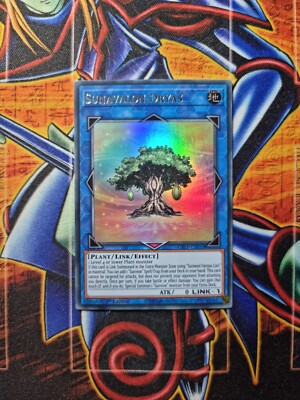 Yu-Gi-Oh! TCG Sunavalon Dryas Ghosts From the Past GFTP-EN018 1st ...