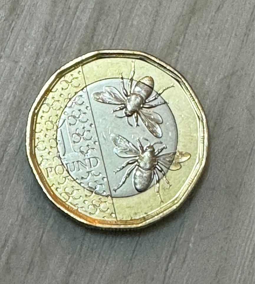 Double Sided Coin King Charles £1 Heads / Tails on both sides - Same ...