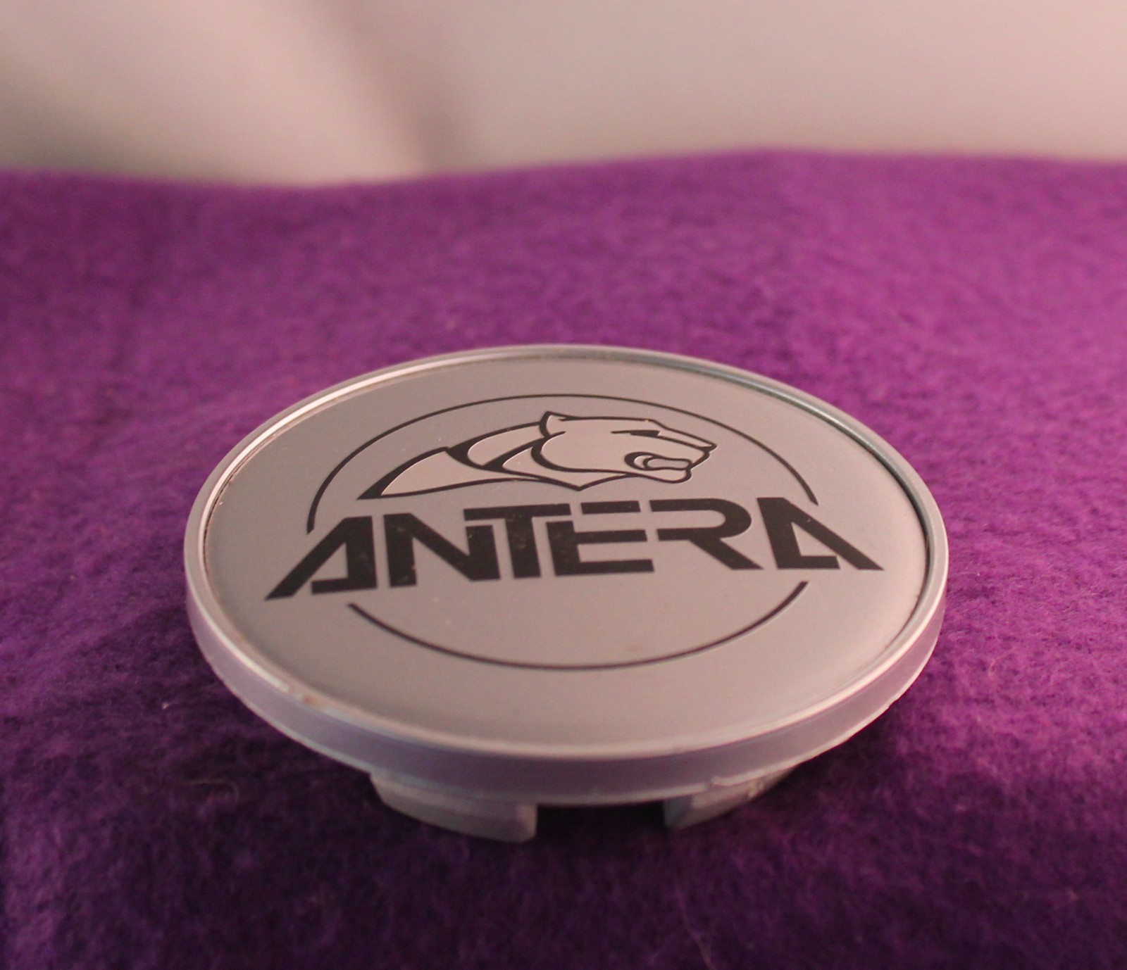 Antera Silver Custom Wheel Center Cap (SET OF 1) p/n # 191076001 | eBay