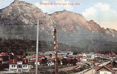 Romania - BUSTENI - Vedere spre Valea Alba - Ed. Maier & Stern 3088 | eBay