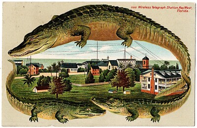 Alligator Border Key West FL - Wireless Telegraph Station mailed 1909 ...