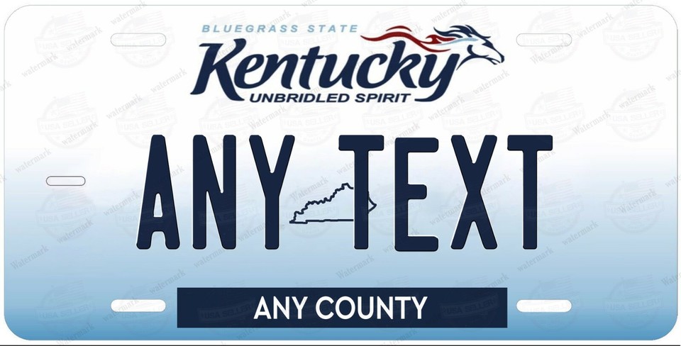 Personalized Custom License Plate Tag for Any State Wall Auto Car ...