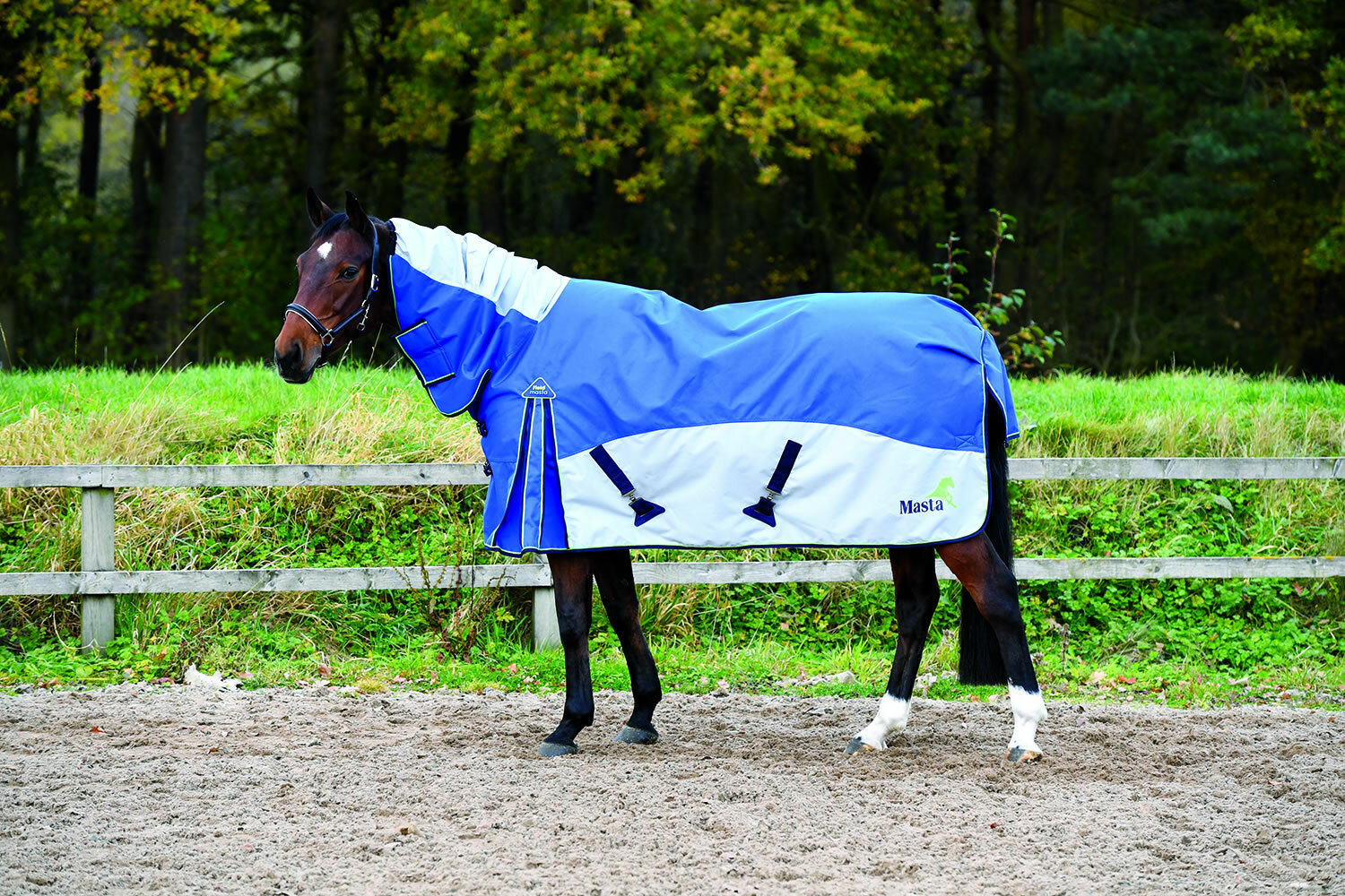 MASTA TURNOUT RUG FIELDMASTA 350G FIXED NECK - 4'6 special offer price ...