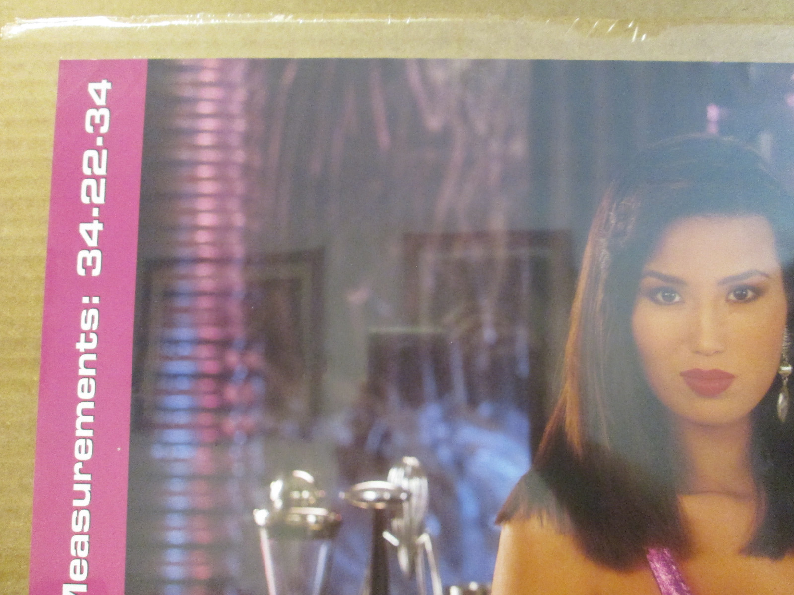 Vintage 1993 Morena Corwin original hot girl Playboy poster 9072 | eBay UK