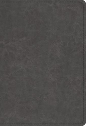 ESV Student Study Bible [TruTone, Gray] by ESV Bibles , imitation ...