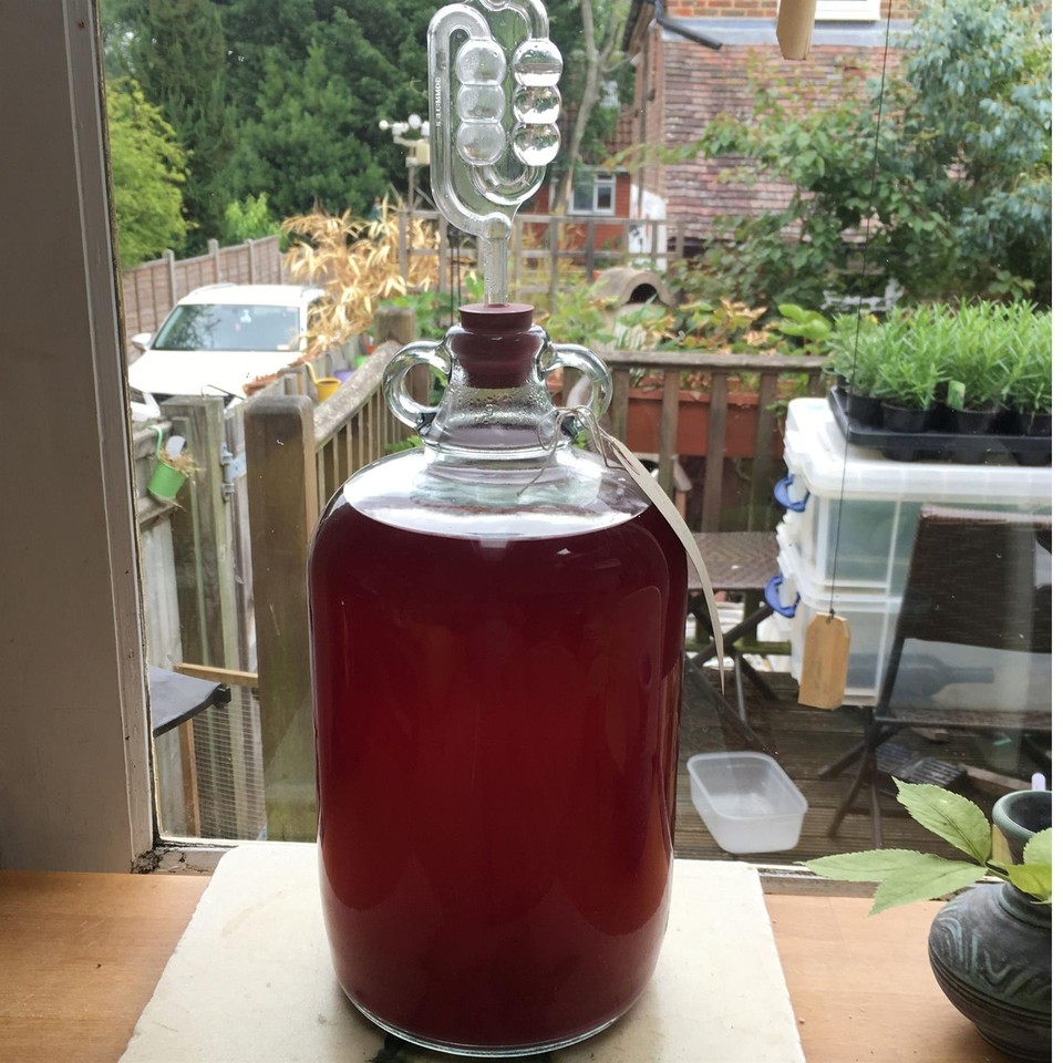 Airlock & Rubber Bung x 2 - Fermentation Bubbler Combo for Demijohn ...