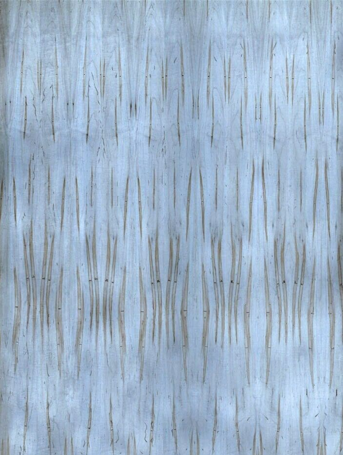 Maple Spalted Ambrosia Blue wood veneer 48" x 96" x 1/40" with paper ...