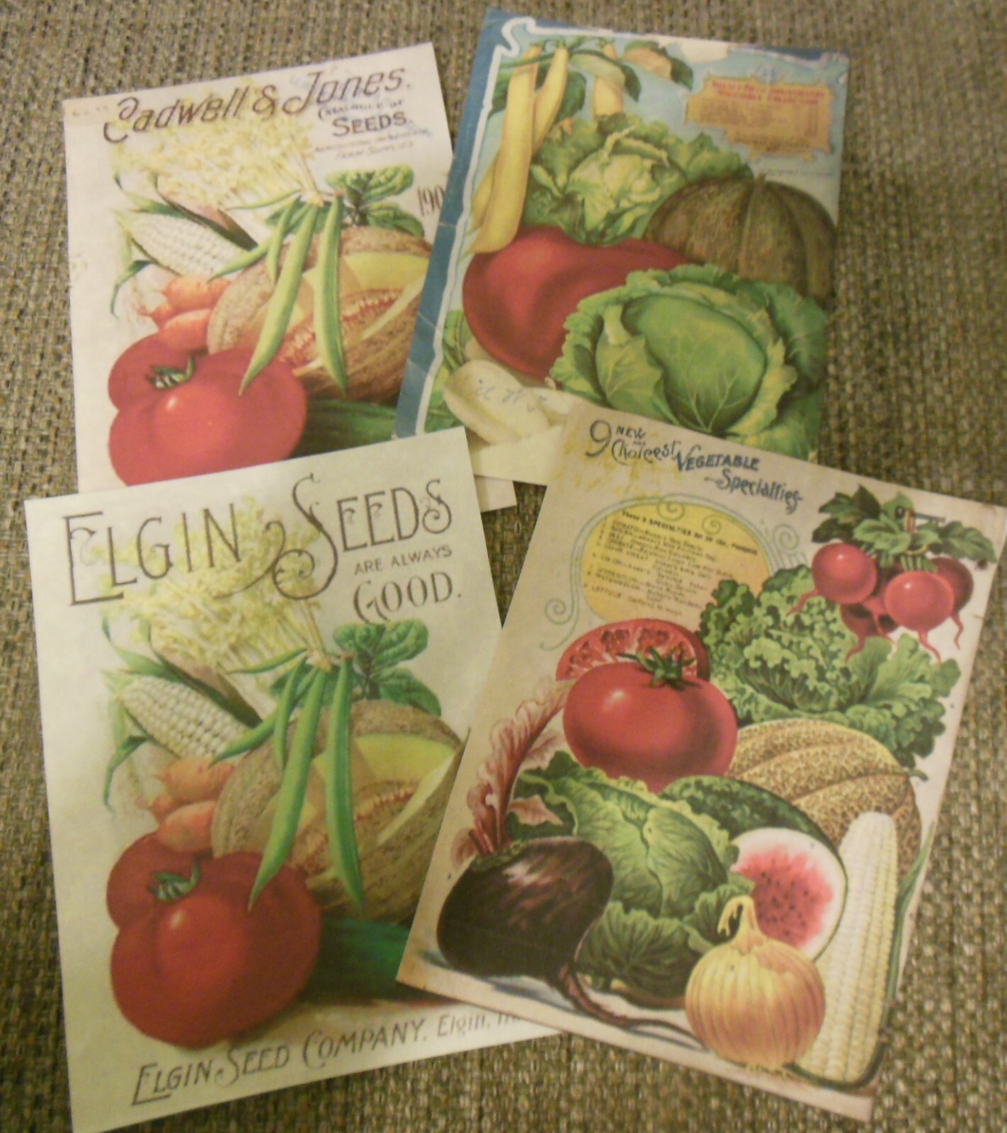 Set of 16 LARGE Vintage Seed Catalog Cover image veggie -1800's to ...