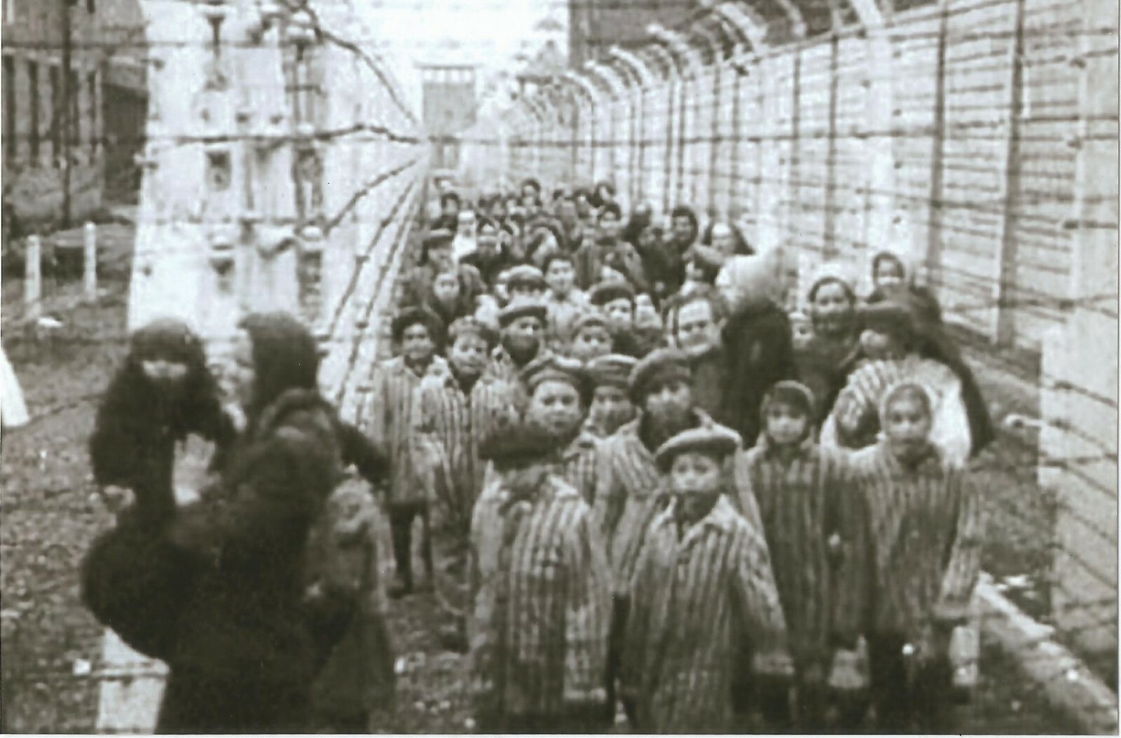 WW II - German Photo -- - Jewish Concentration Camp | eBay