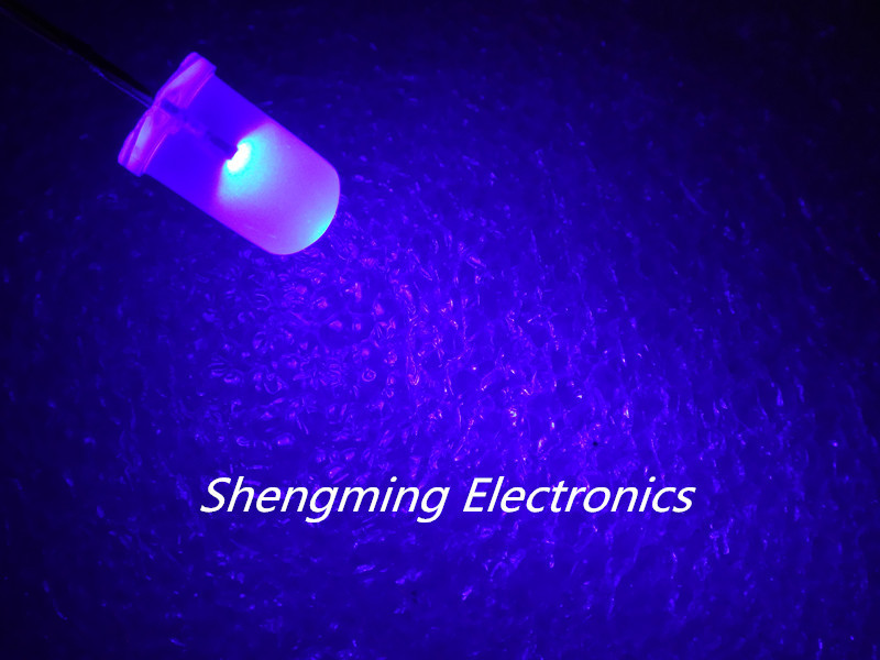 1000pcs 5mm Blue Diffused LED Light Lamps | eBay