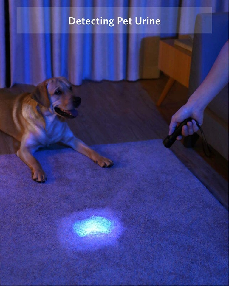 Purple Light UV Ultraviolet Flashlight Light 51 LED BlackLight 395nM ...