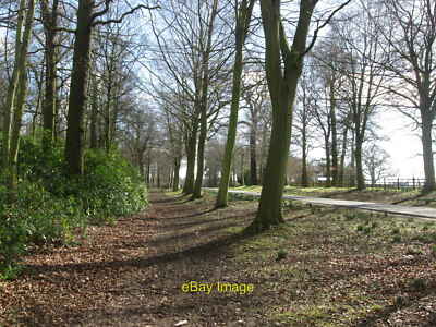 Photo 6x4 Bridleway parallels the road south of Osberton Lock Scofton ...