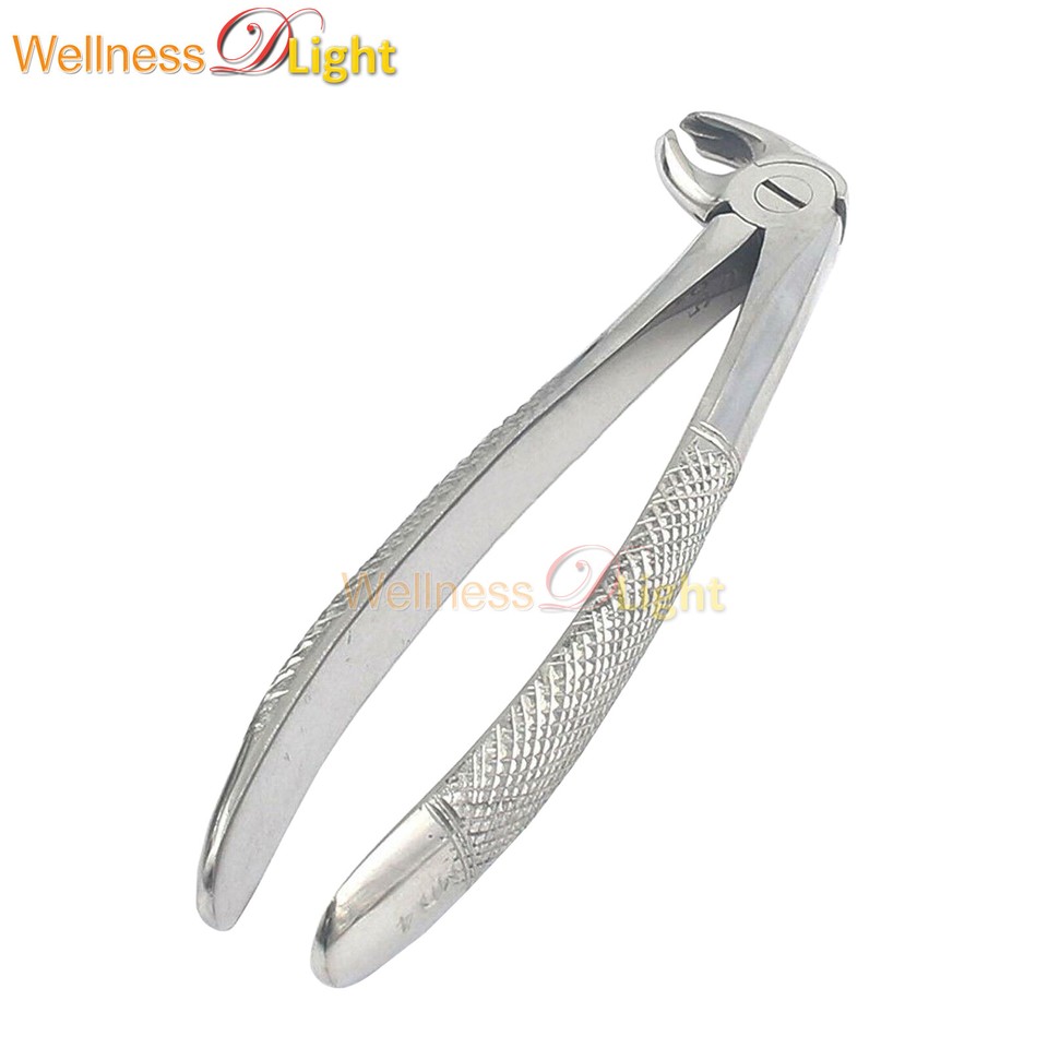 GERMEN STAINLESS DENTAL TOOTH LOWER MOLARS EXTRACTING EXTRACTION FORCEPS #MD4 | eBay