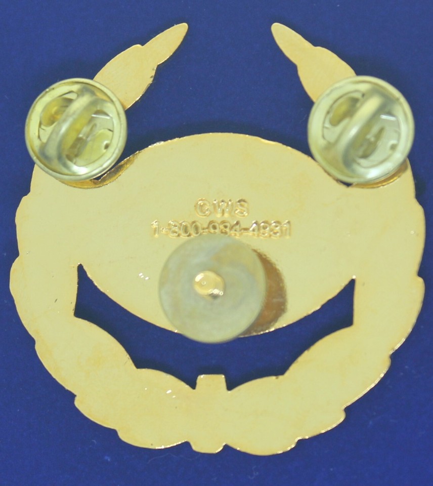 Eagle Air Pilot Hat Badge Airline Pilot Wing KW | eBay