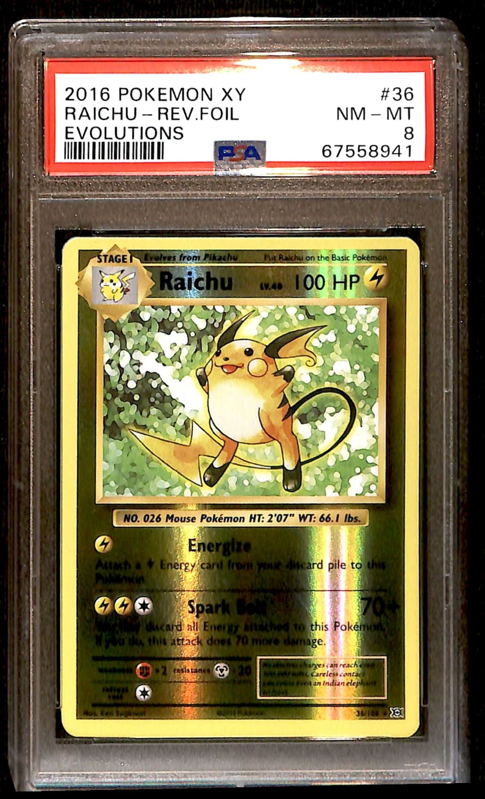 2016 Pokemon XY Evolutions Rev Foil Raichu #36 PSA 8 ES6-2 | eBay