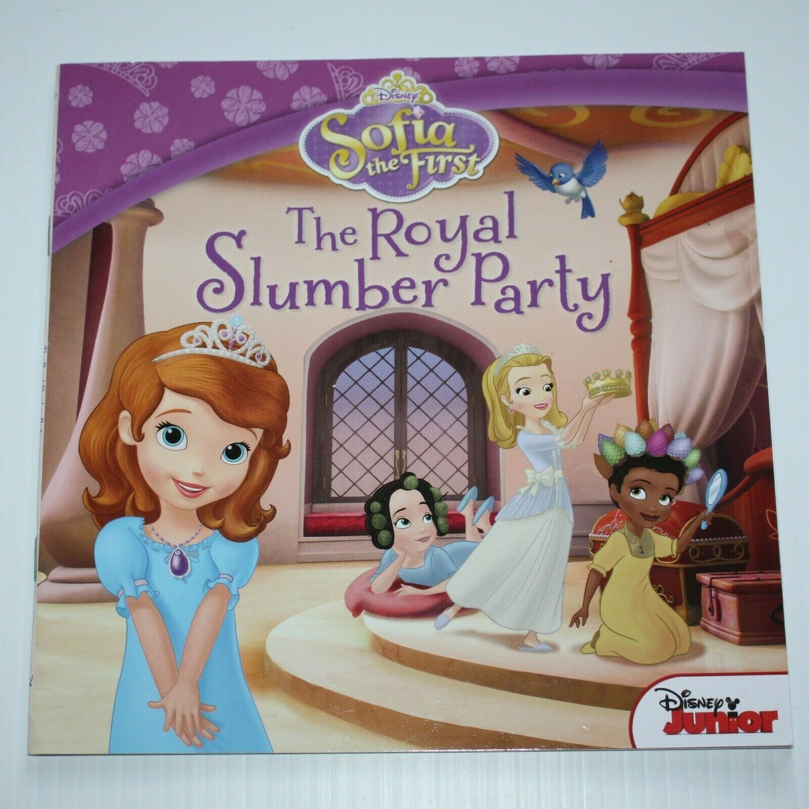 Sofia the First the Royal Slumber Party by Disney Books and Catherine ...