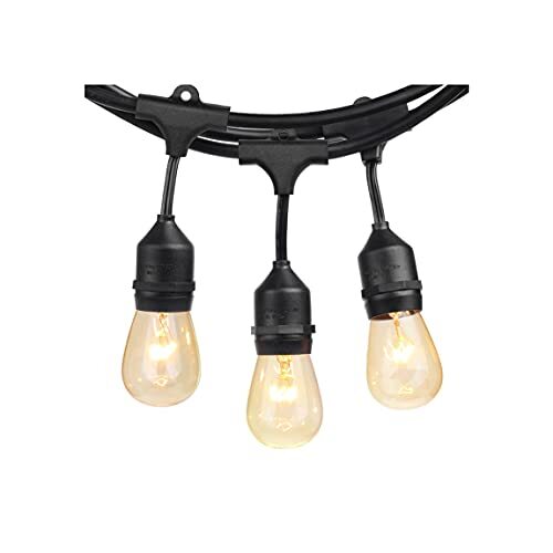 Outdoor String Lights, 48FT Edison Light String Commercial Grade 1 ...