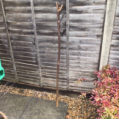 Vintage Rustic Thumb Stick Shepherds Crook Walking Stick 57.75” Tall ...