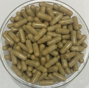 Shiitake Mushroom Extract 10:1 Capsules (Lentinus Edodes) 30% Lentinan ...