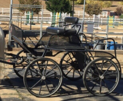 MARATHON CARRIAGE BY PACIFIC CARRIAGE CANADA-LARGE PONY/SMALL HORSE ...