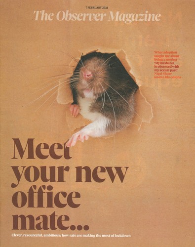 UK Observer Magazine: Matt Goss, Angela Scanlon, Nigel Slater, Fashion ...