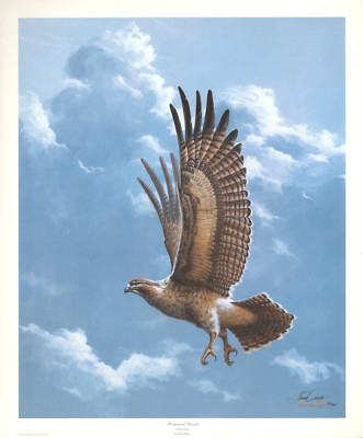 "Homeward Bound" by Phillip Crow. Limited edition print, signed and ...