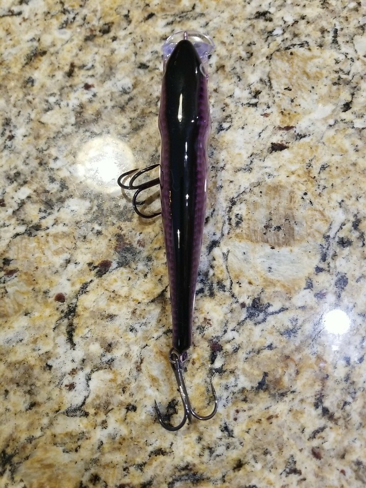 Custom Painted Rapala Super Shad Rap SSR-14 | eBay