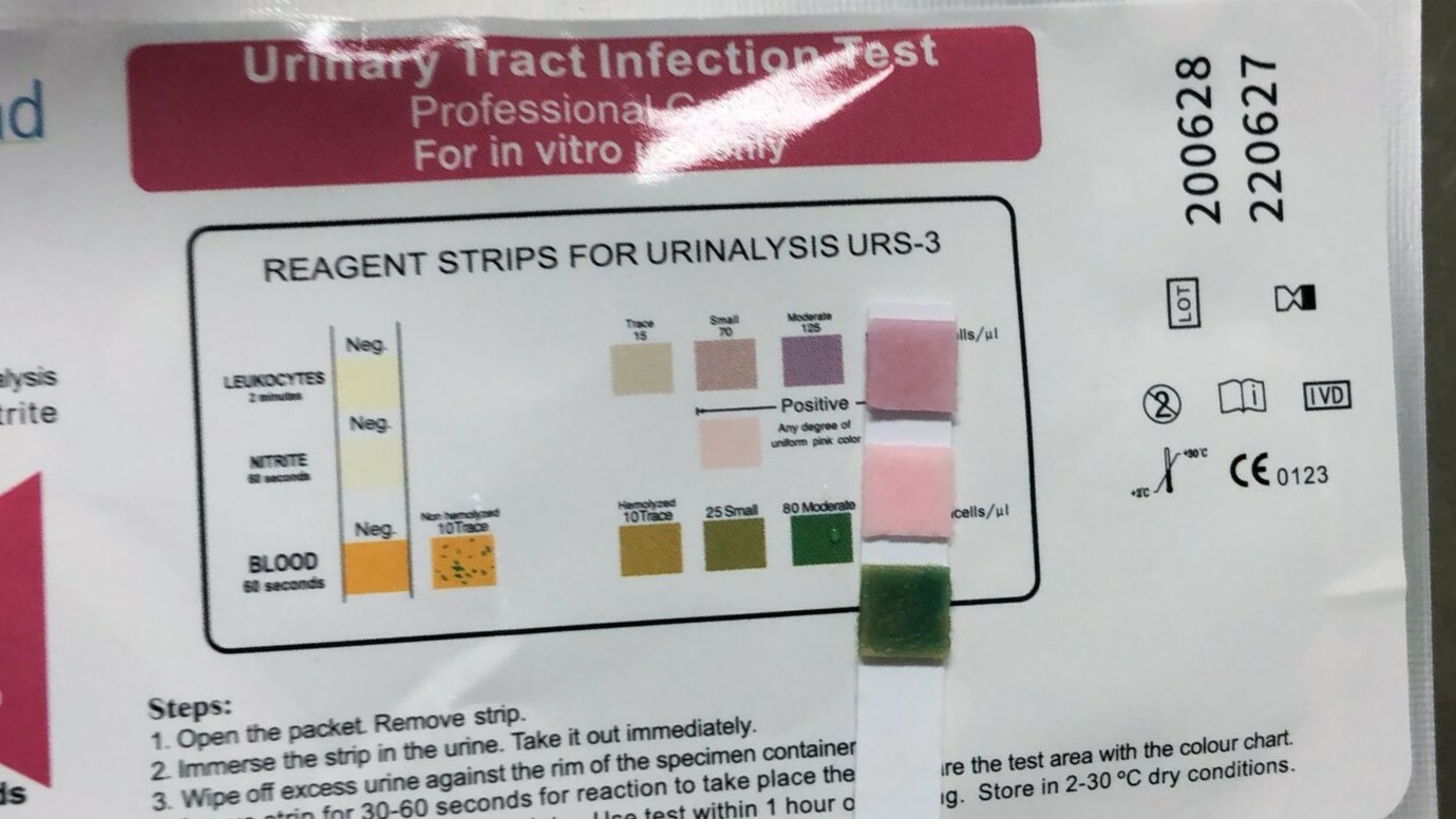 4x UTI CYSTITIS BLADDER URINE INFECTION TEST TESTS KIT SAME AS GP SAME ...