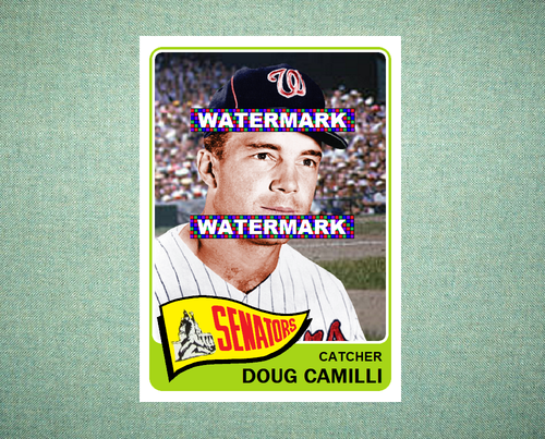 Doug Camilli Washington Senators 1965 Style Custom Baseball Art Card | eBay