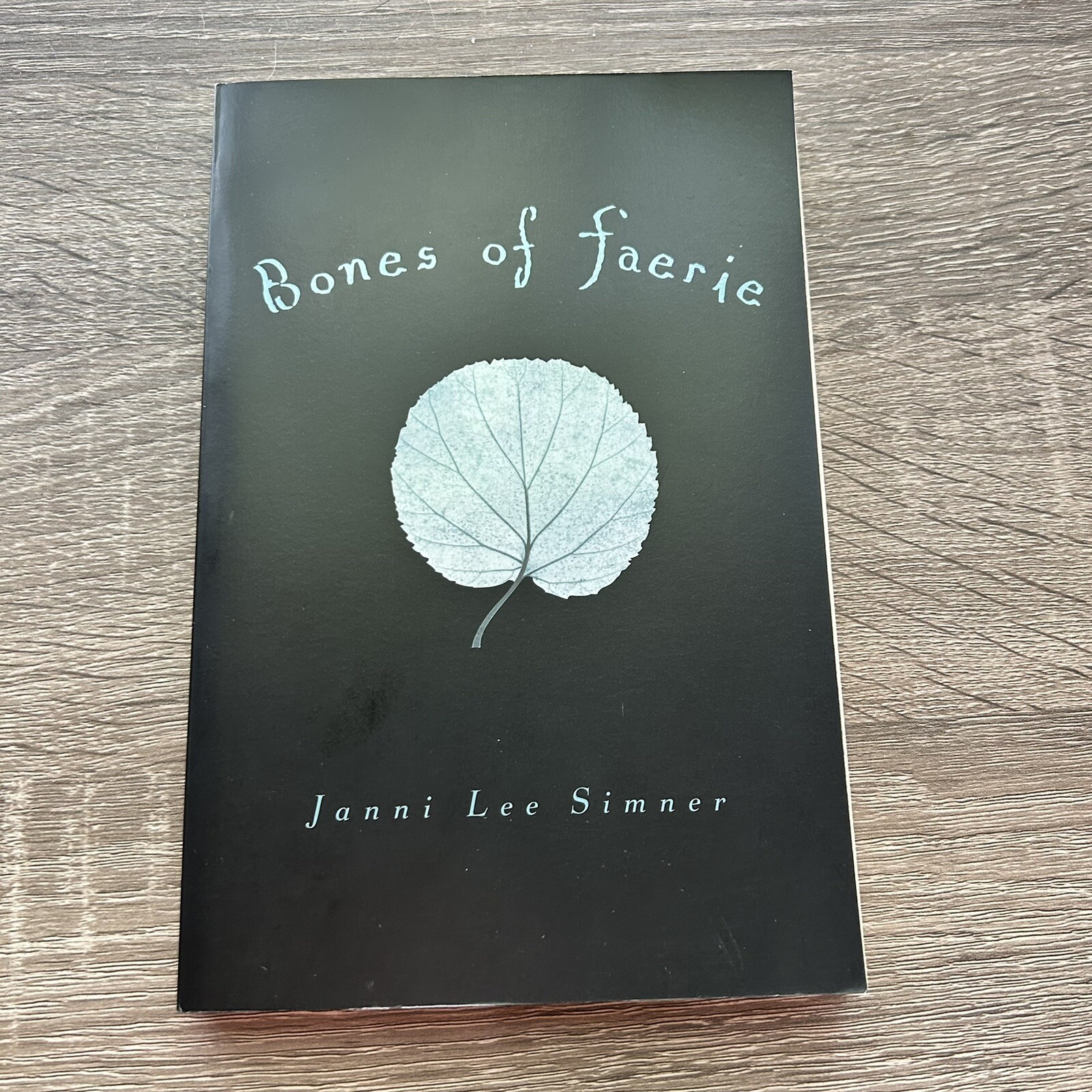 Bones of Faerie : Book 1 by Janni Lee Simner - VERY GOOD 9780375845659 ...