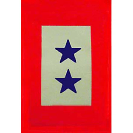Blue Star Banner In Window