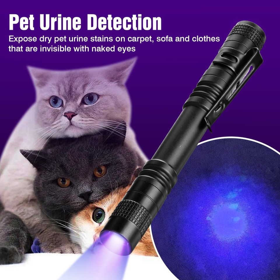 1-10PCS Portable Pocket UV Flashlight Penlight 395nm Ultraviolet Mini ...